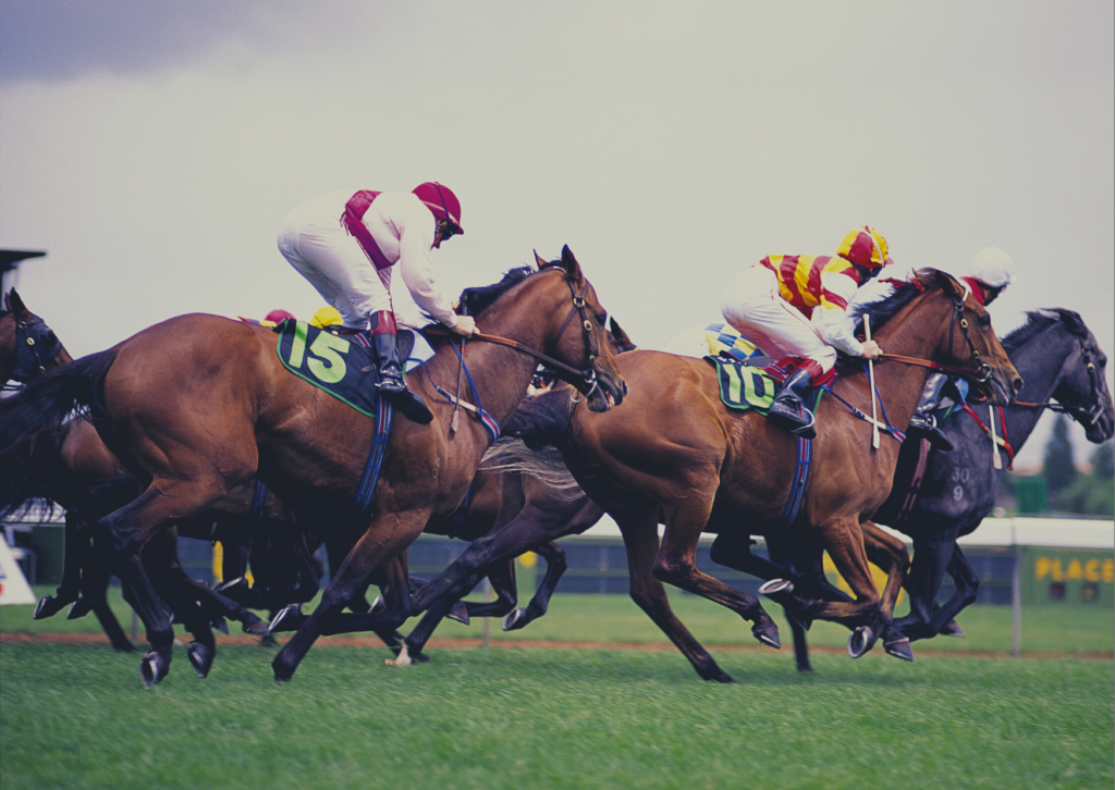 Upcoming Events | Bryn Meadows 2025